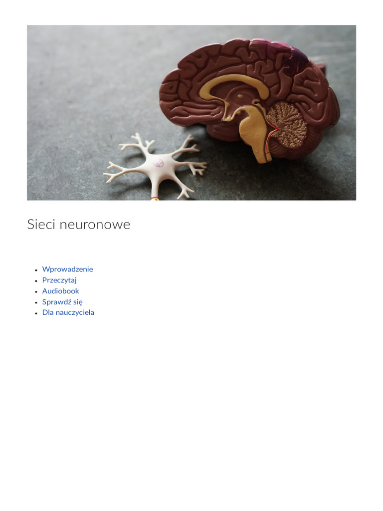 Sieci Neuronowe | PDF