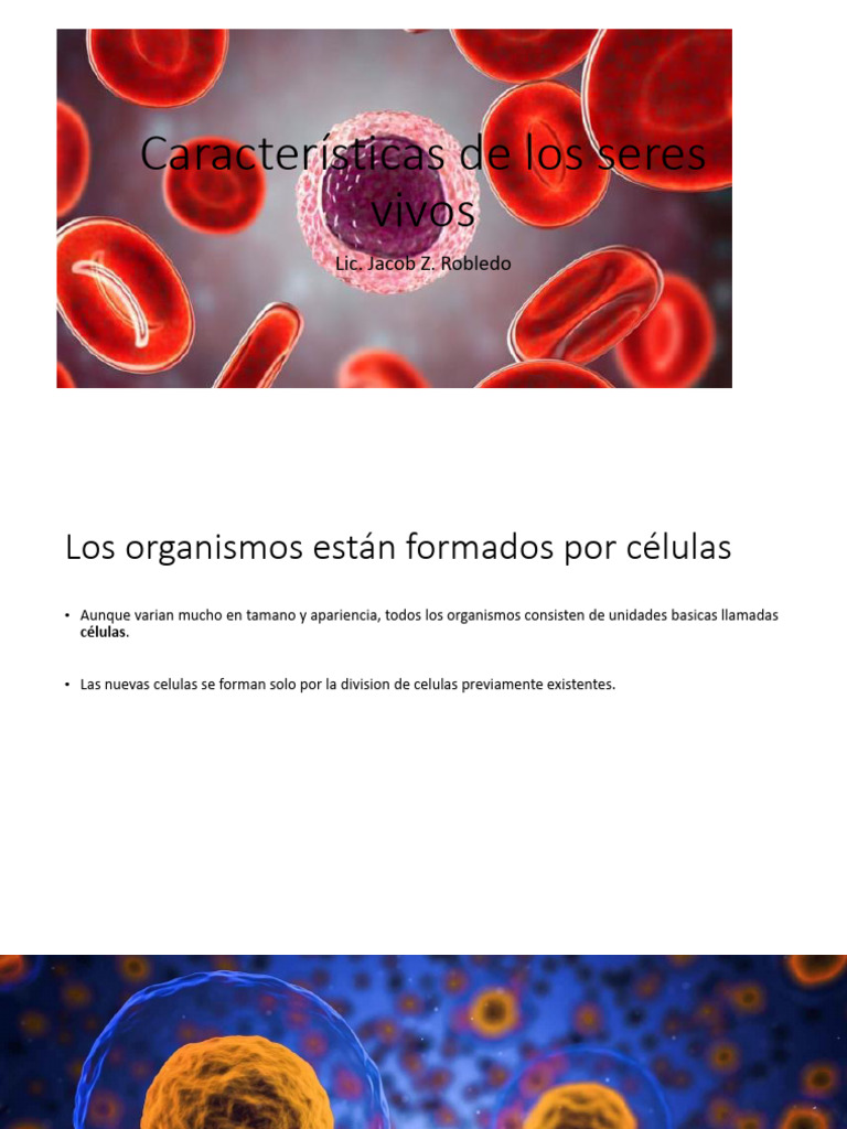 44981130-Caracter Sticas de Los Seres Vivos | PDF | Organismos | Vida