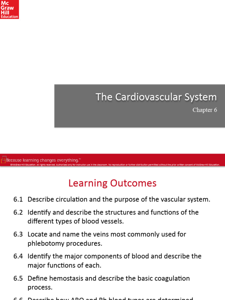 Phleb PPT CH 06 v2 | PDF | Coronary Circulation | Heart