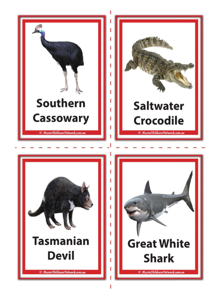 australian_animals_flashcards_set1 | PDF