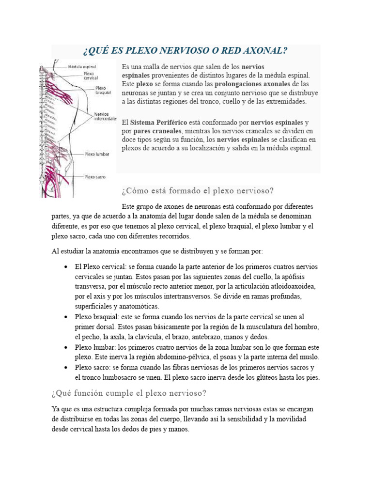 Plexios y Ganglios. Franco y Melgarejo | PDF | Ganglios basales | Nervio