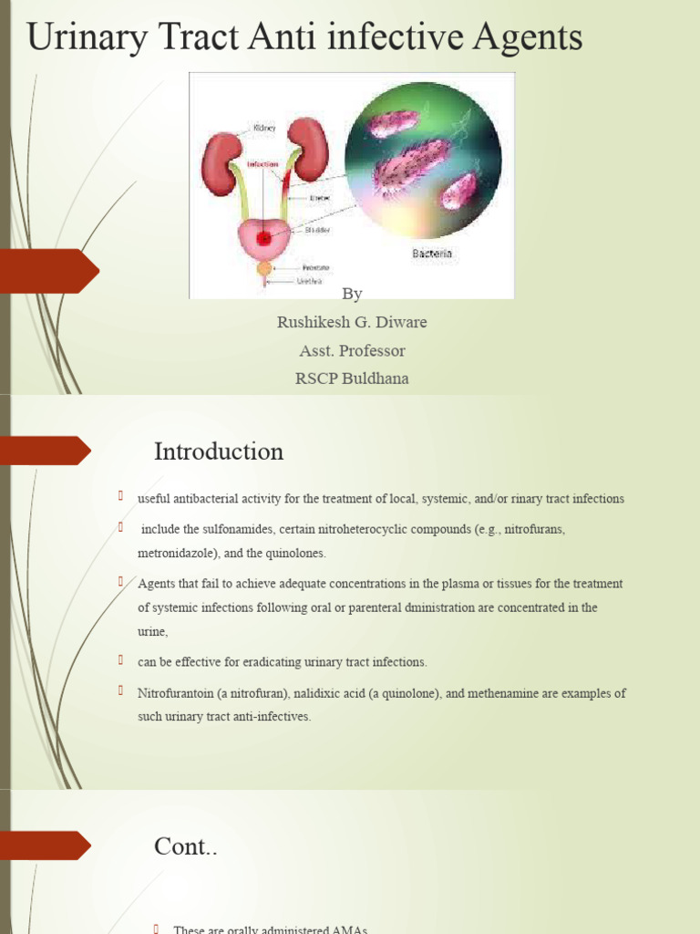 Urinary Tract Infection Treatments | PDF | Medical Specialties