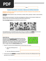 Student Exploration Evolution Mutation and Selection Gizmo Answers ...
