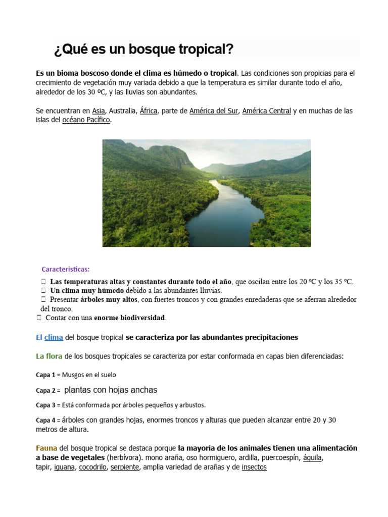 Características del bosque tropical | PDF | Ciencia y matemáticas