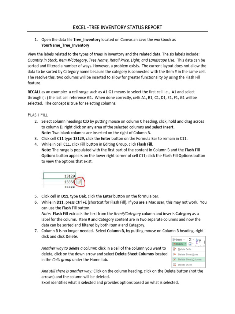 10 2tree Inventory Directions | PDF | Microsoft Excel | Software