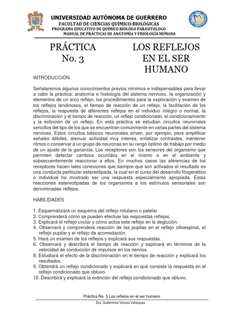 PRÁCTICA 3 REFLEJOS | PDF | Neurona | Médula espinal