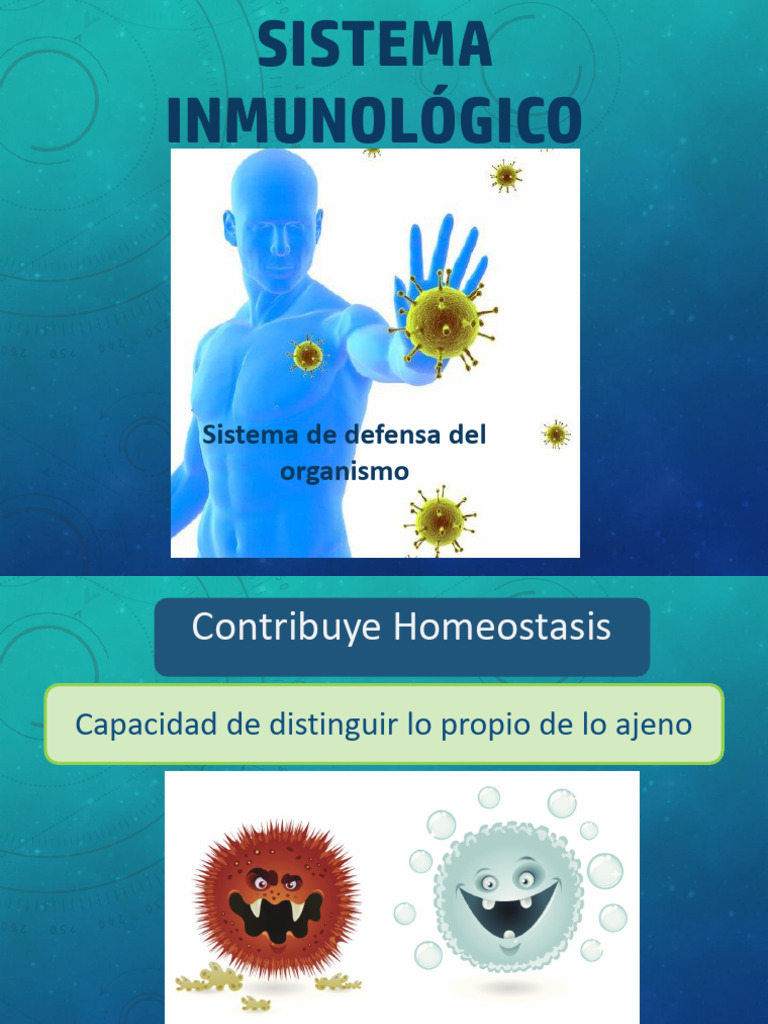 Clase Sistema Inmune | PDF | Sistema inmune | Linfocitos