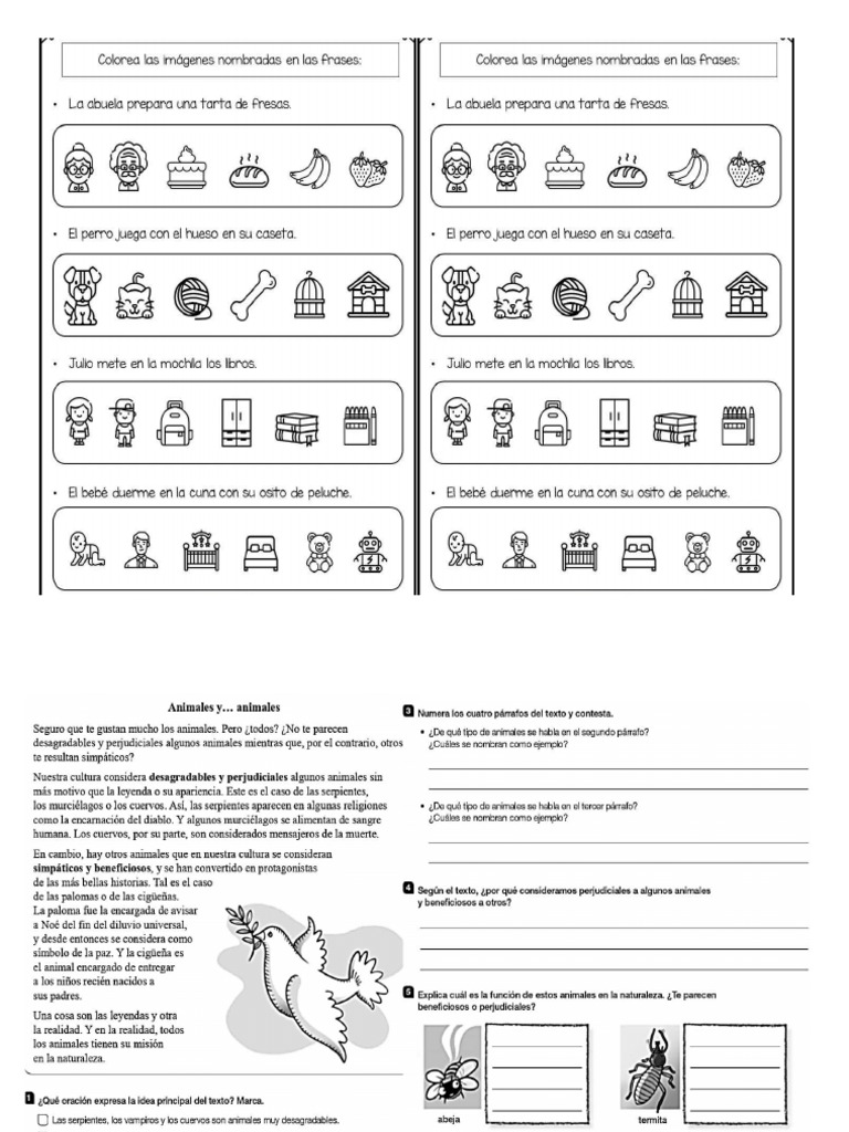 Plan Lector 2 | PDF