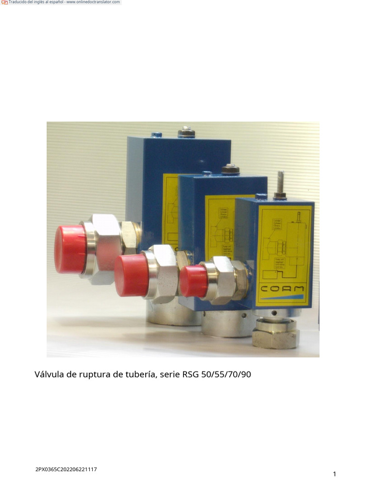 Válvula RSG: Seguridad y Funcionamiento | PDF | Ingeniería mecánica