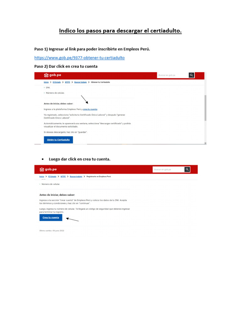 Pasos para Descargar El Certiadulto | PDF
