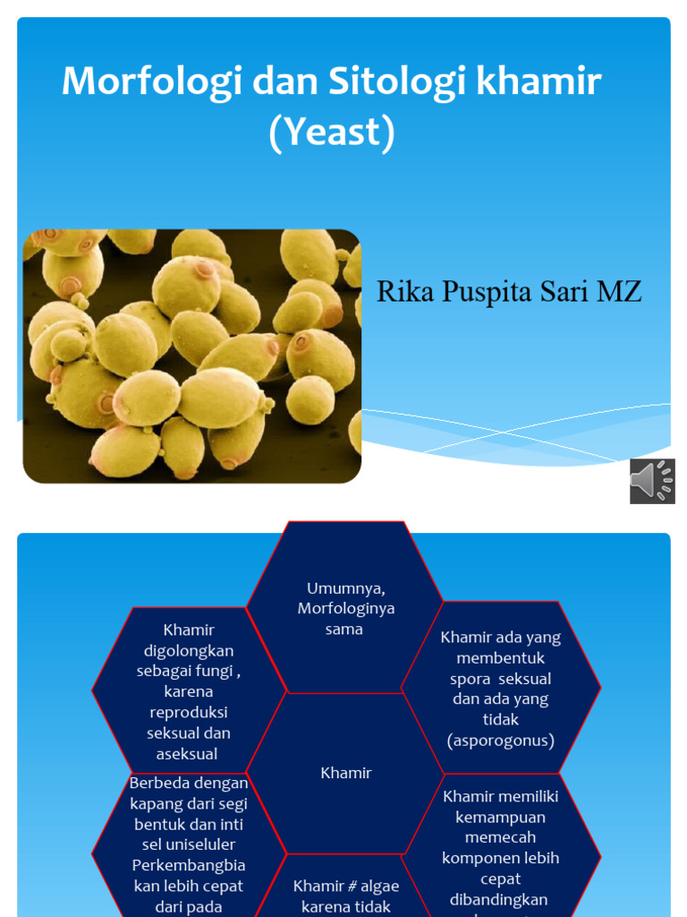 Morfologi Dan Sitologi Khamir (Yeast) | PDF