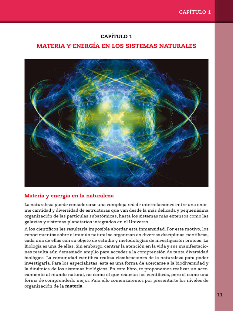 CAPITULO 1 MATERIA Y ENERGIA} | PDF | Nutrientes | Organismos