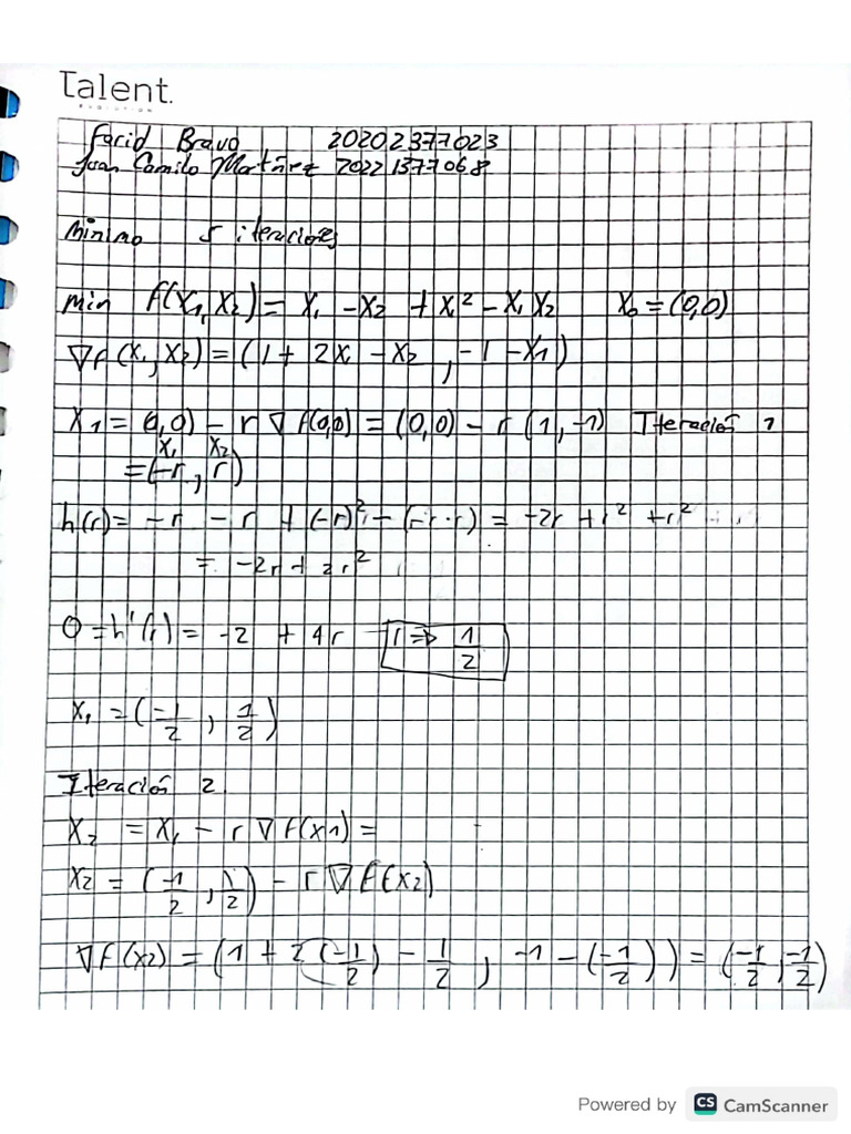 Quiz Algoritmo de Programacion No Lineal | PDF