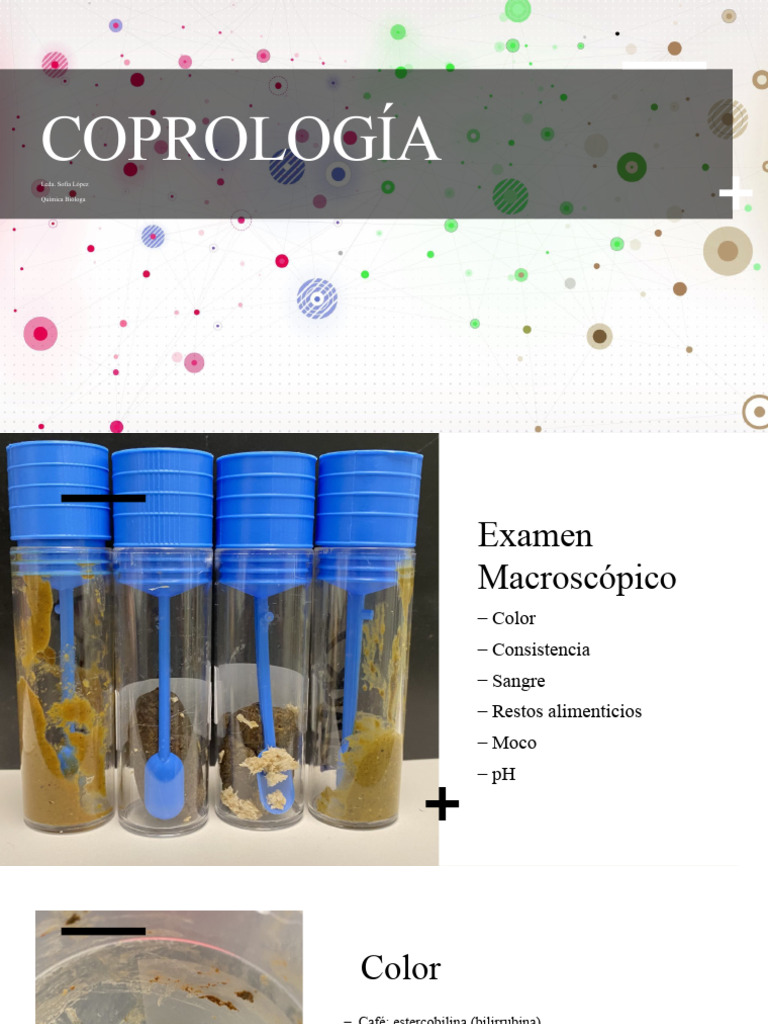 Guía de Coprología: Exámenes y Análisis | PDF | Heces