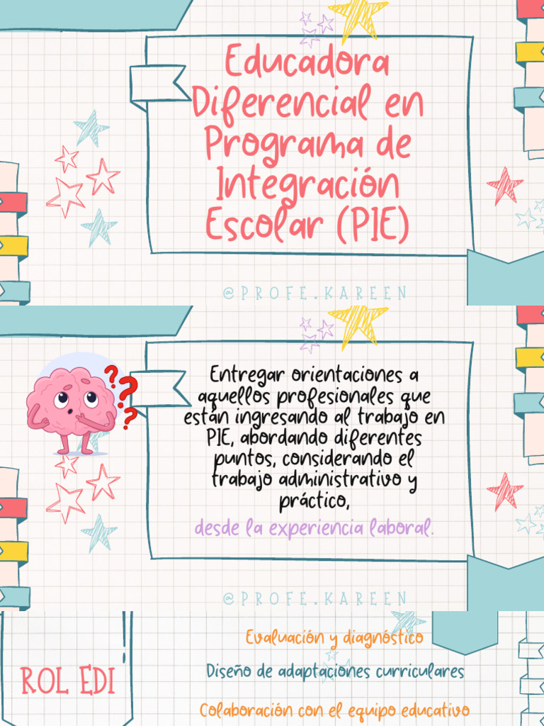 Educadora Diferencial en Programa de Integración Escolar (PIE ...