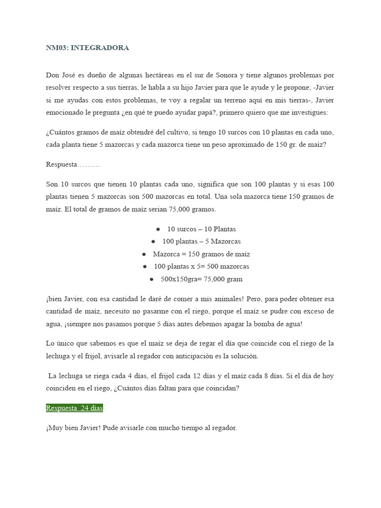 NM03 - Integradora | PDF | Maíz | Riego