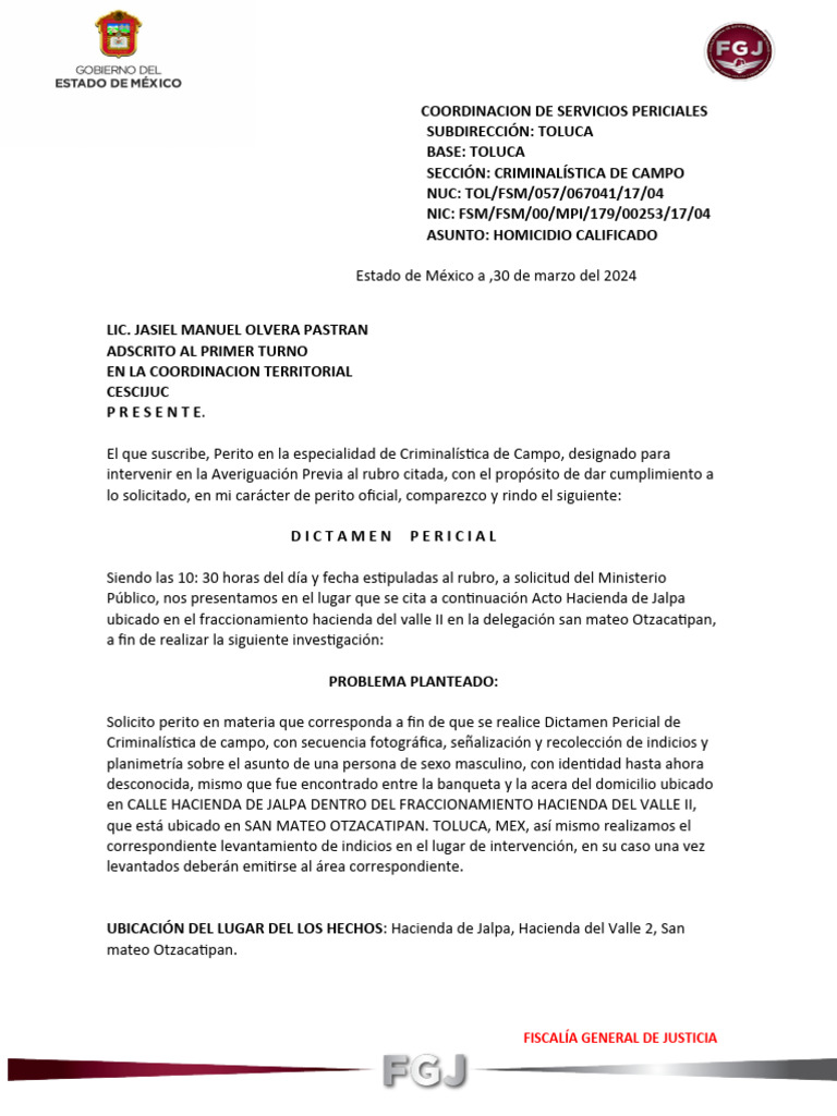 Dictamen Pericial | PDF | Ciencia forense