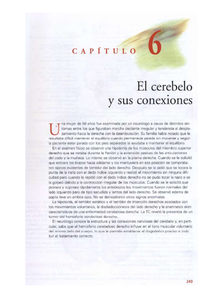 Clase 9 Cerebelo 1 | PDF