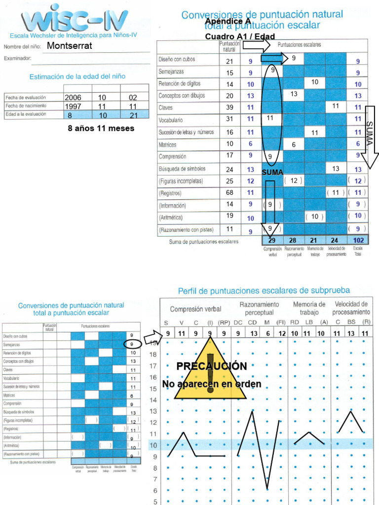 WISC IV Calificación 1 | PDF | Cociente de inteligencia