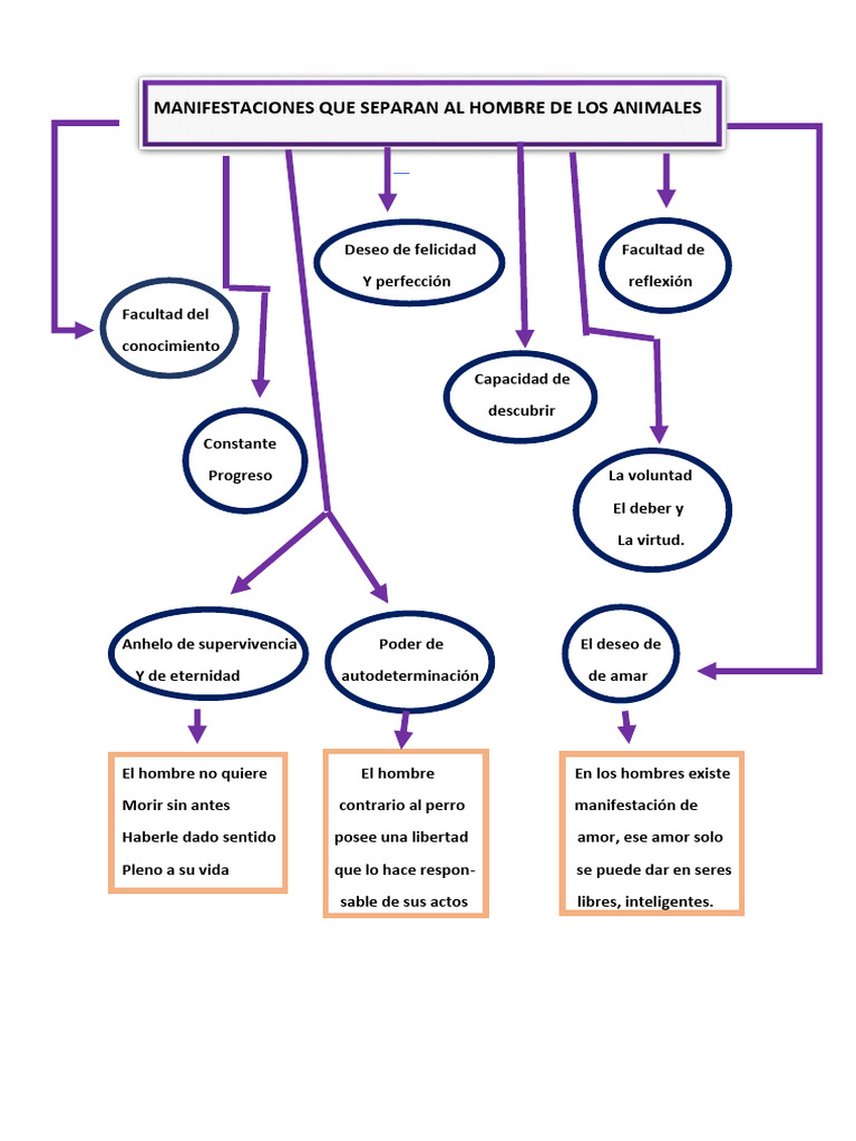 Mapa Conceptual Katerin Martinez Filosofia Manifestaciones Que Separan Al Hombre de Los Animales ...