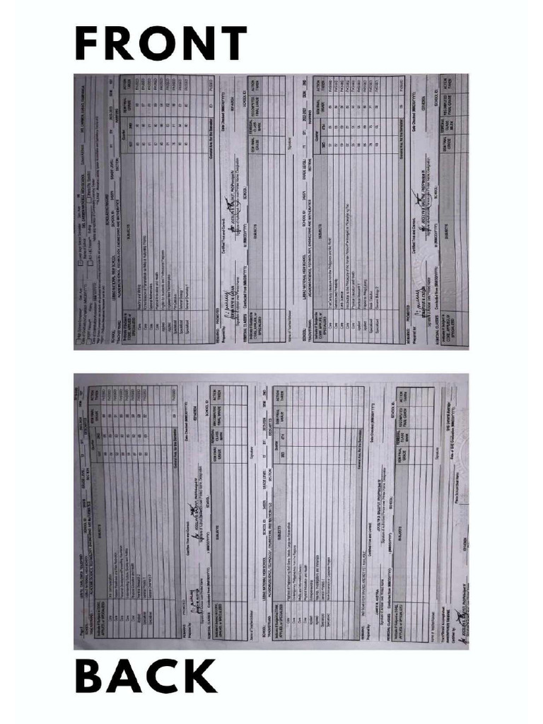 Lugtu-Carl-Owen-T.-BSEE-Form-137 (1) | PDF