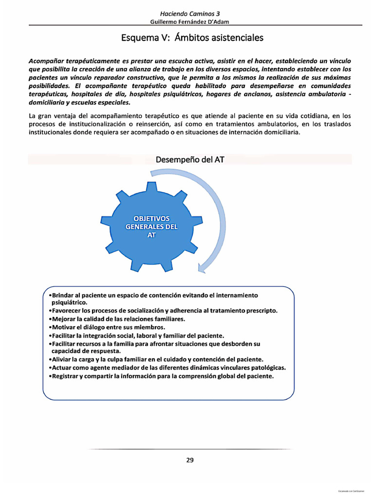 Ambitos Asistenciales-Fernandez DAdam | PDF