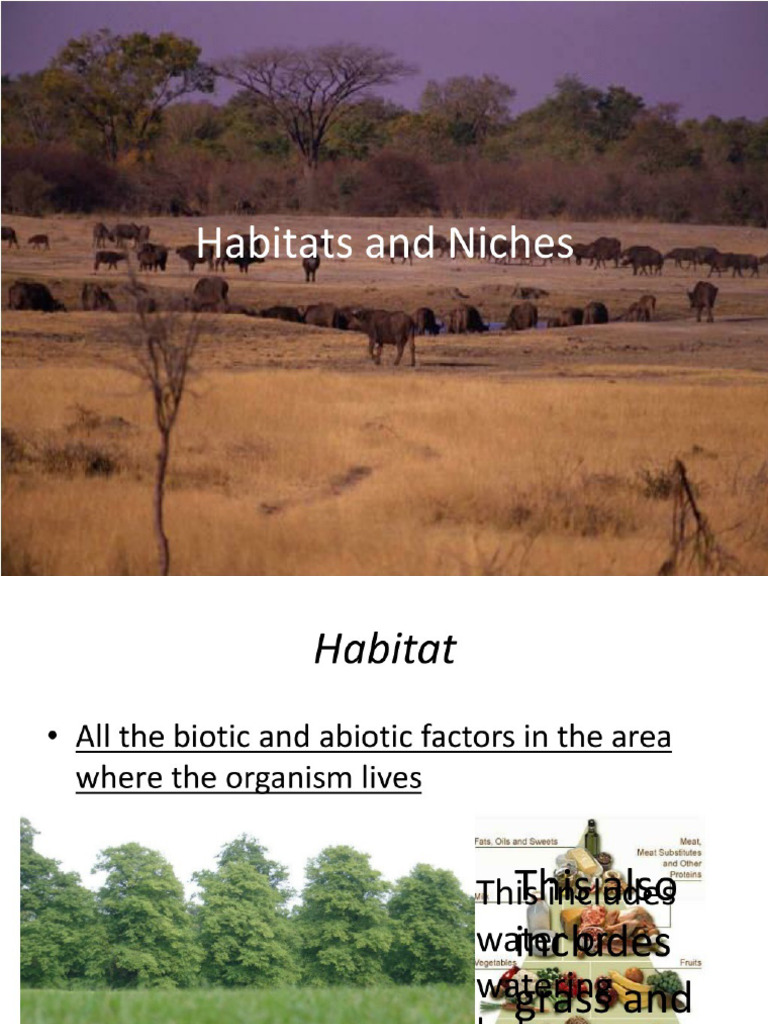 Habitat and Niches | PDF