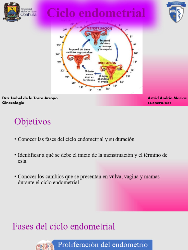 Ciclo endometrial | PDF | Menstruación | Vagina