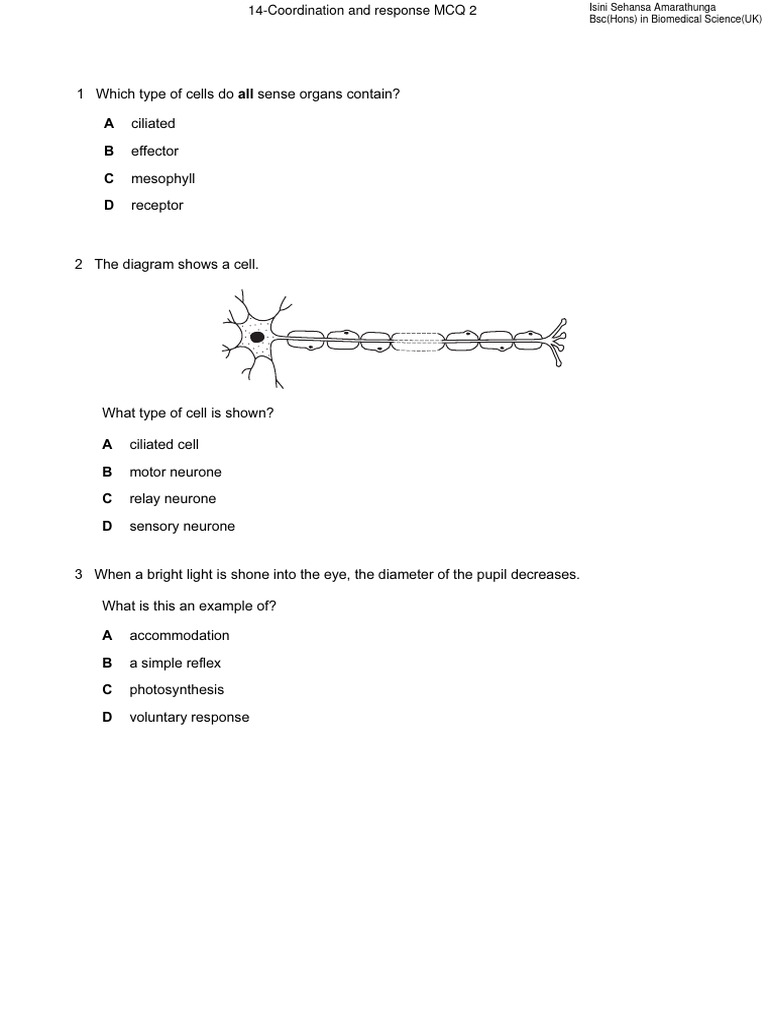 Homeostasis Worksheet Answer Key | PDF | Senses | Vasodilation