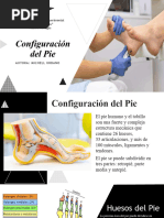 Ligamentos del Pie: Estructura y Función | PDF | Pie | Anatomía del ...