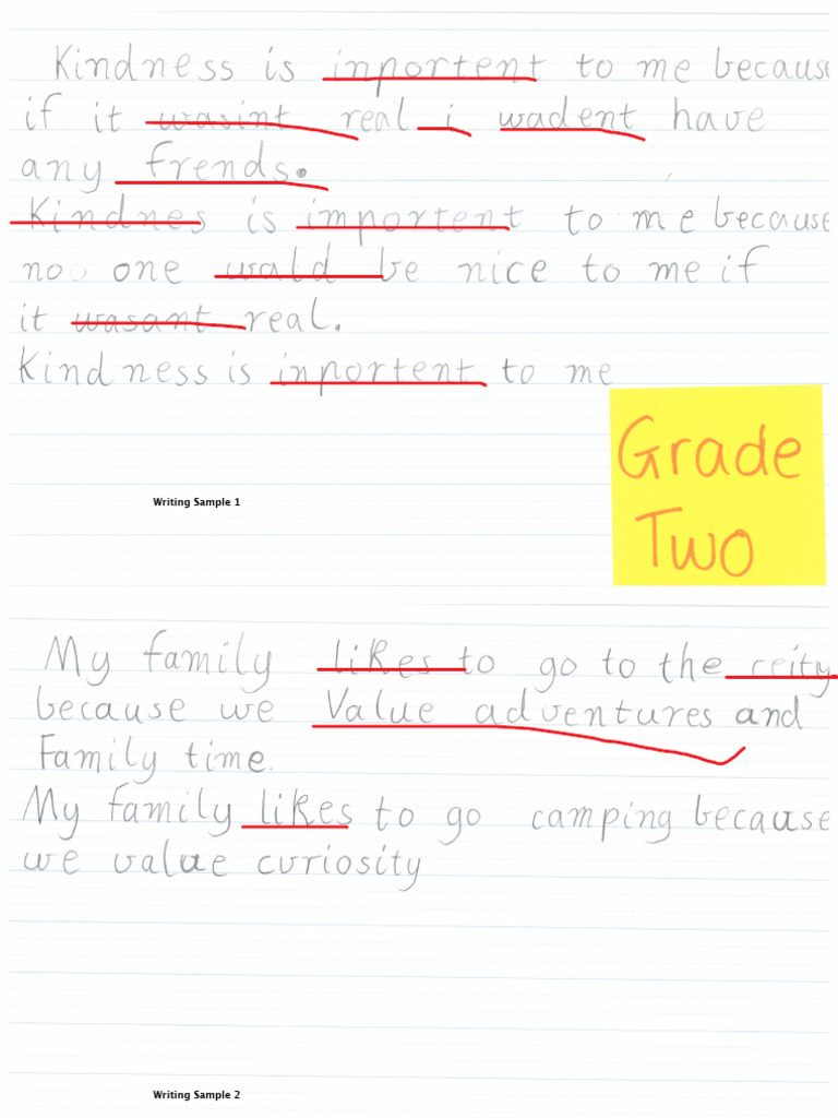 Grade 2 Student-1 | PDF