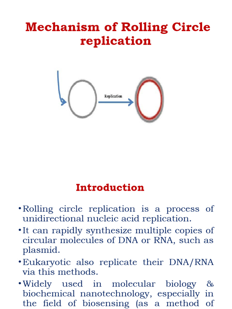 Rolling Circle Replication | Download Free PDF | Dna Replication | Dna