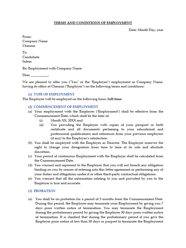 Employment Terms and Conditions Overview | PDF | Non Disclosure ...