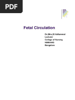 Fetal Circulation Flow Chart | PDF
