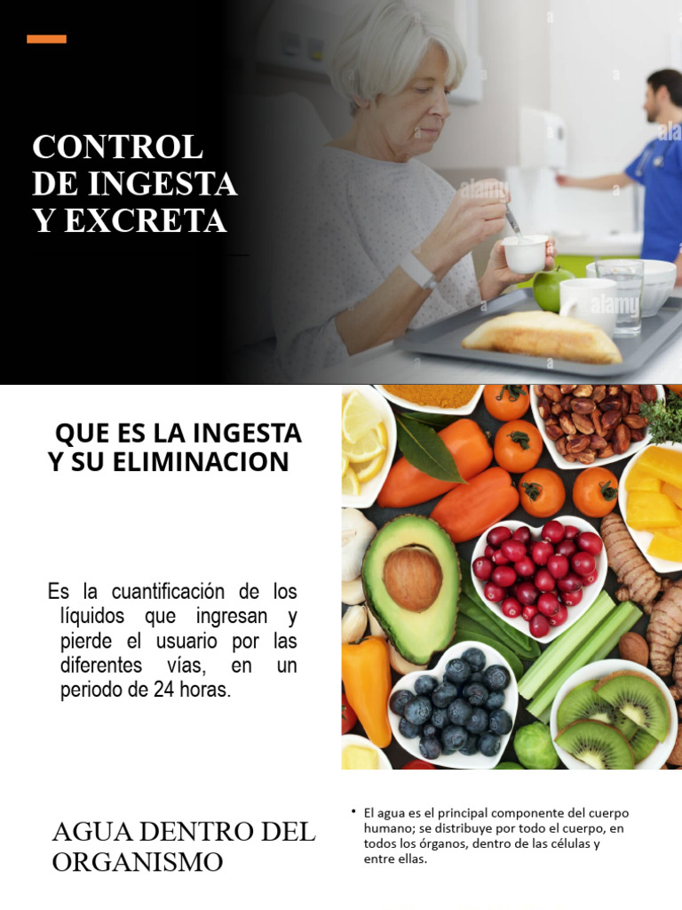 Control de Ingesta y Excreta | PDF | Deshidración | Sodio