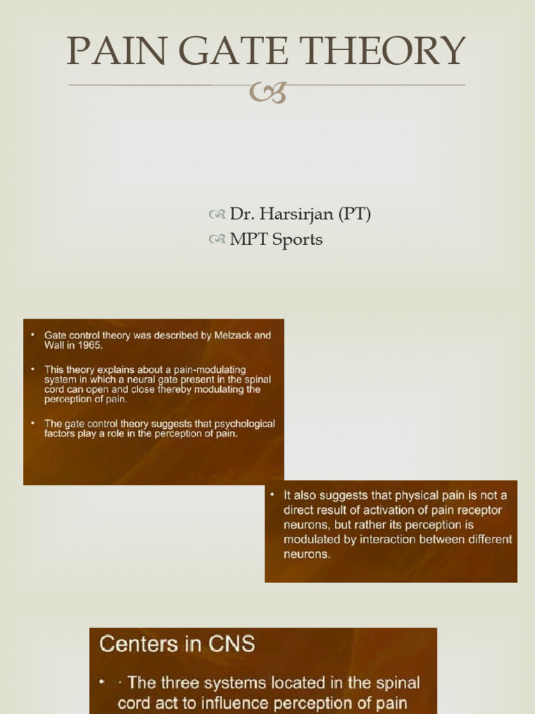 Understanding Pain Gate Theory | PDF