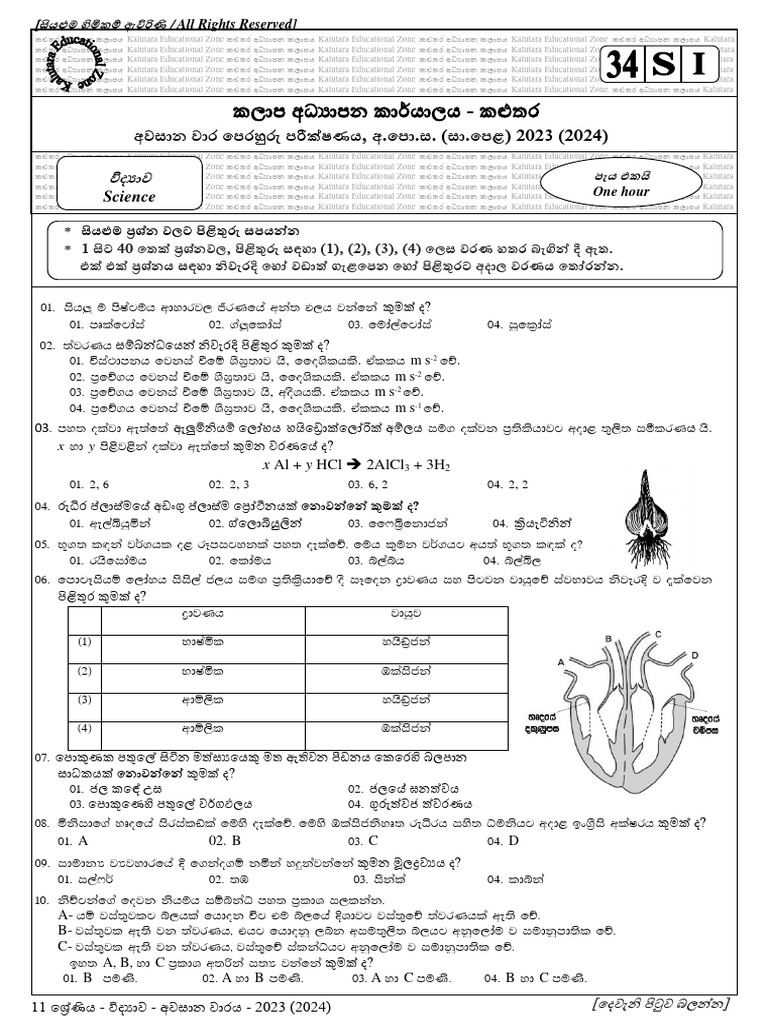 Model Paper 2023 (2024) OL - Sinhala Medium | PDF