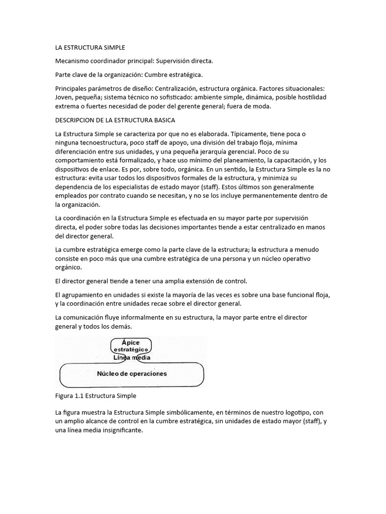 Características de la Estructura Simple | PDF | Motores generales | Netflix
