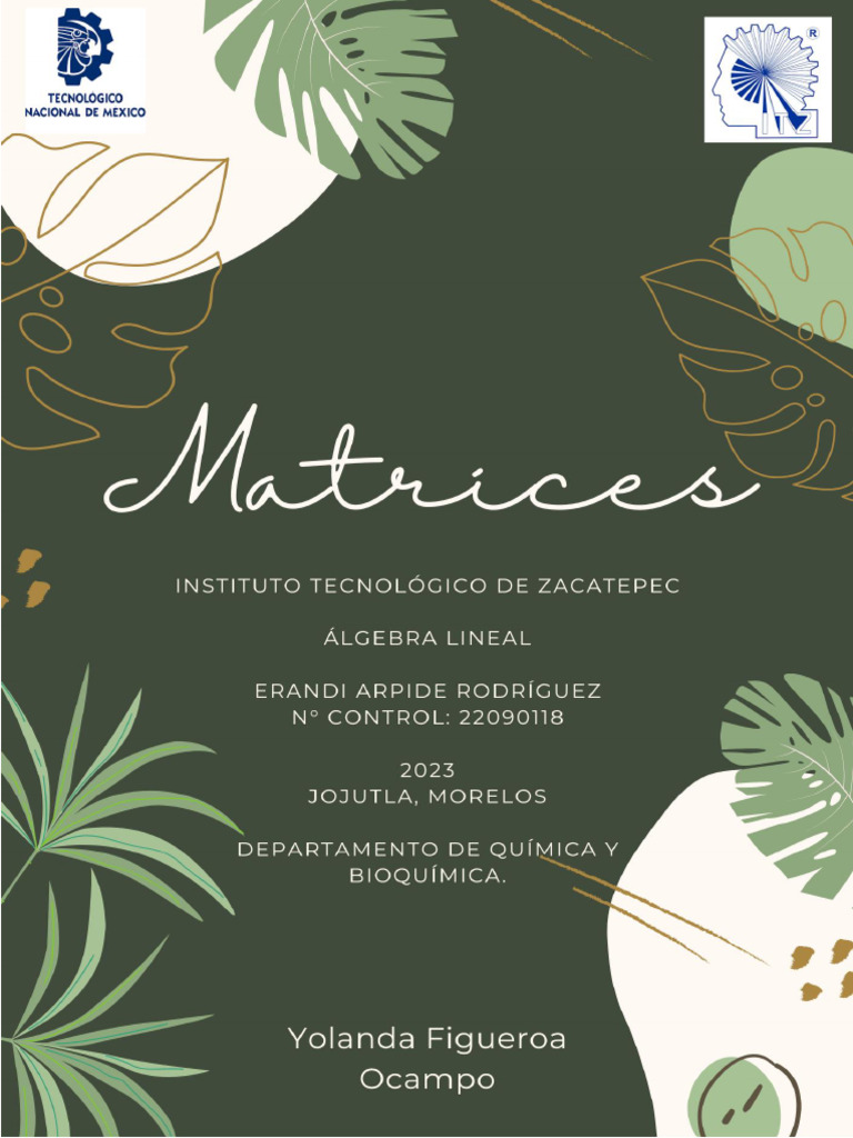 Investigacion matrices | PDF | Matriz (Matemáticas) | Análisis funcional