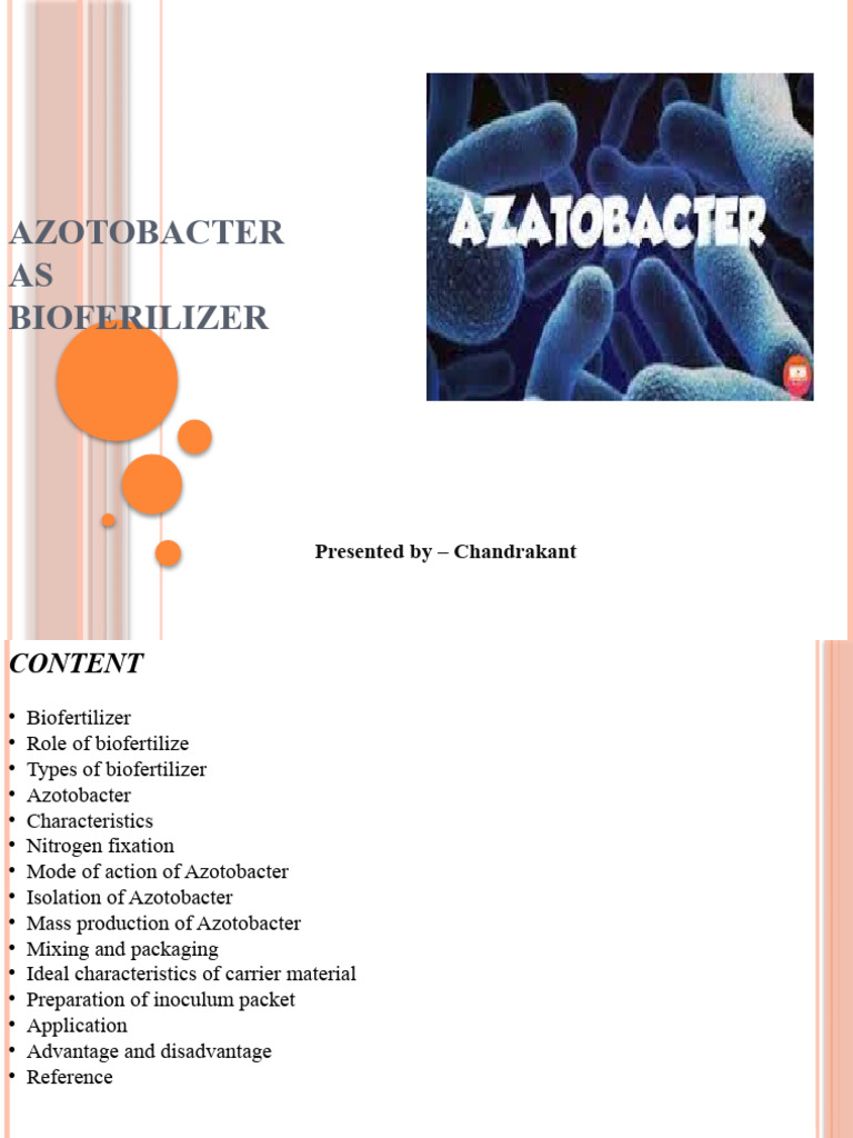 Azotobacter As Bioferilizer | PDF | Biology | Botany