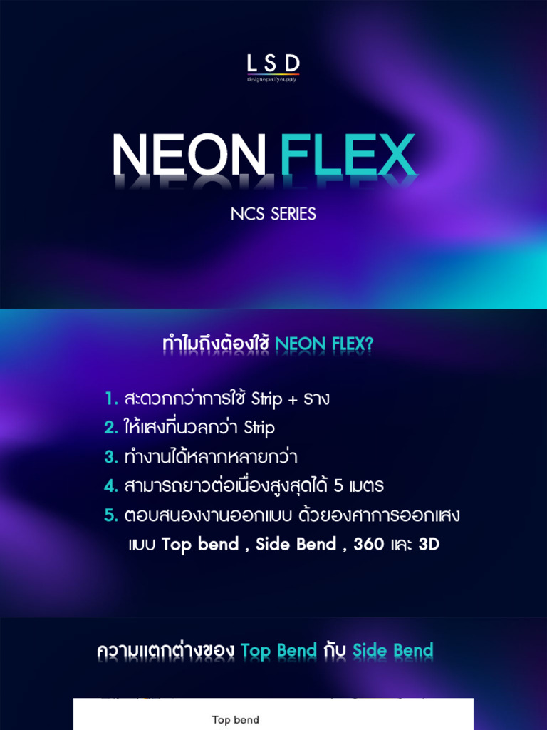Neon Flex Presentation | PDF