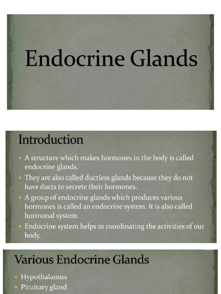 endocrine glands ppt | PDF
