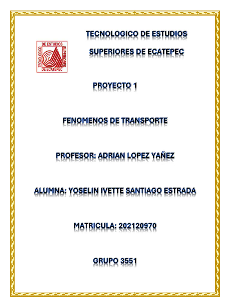 Proyecto 1 Fenomenos de Transporte YISE | PDF