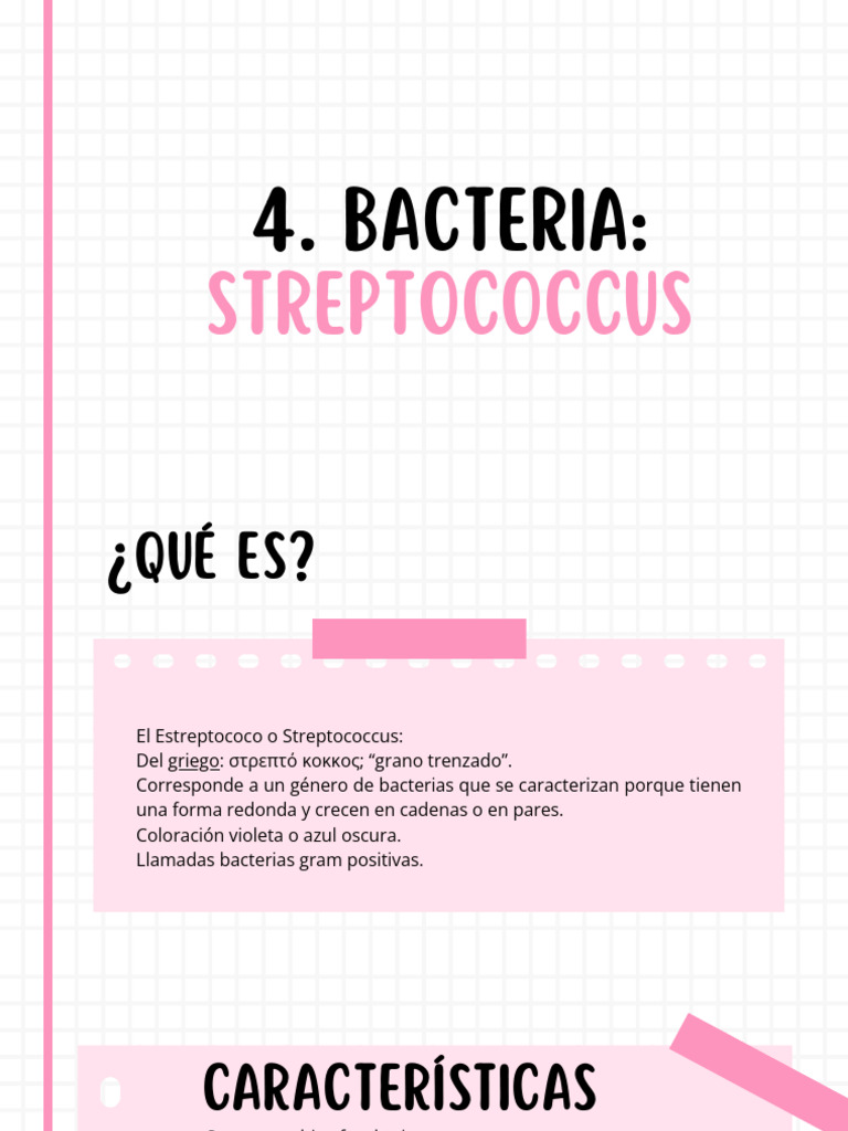Características y Tipos de Streptococcus | PDF | Estreptococo | Especialidades Medicas
