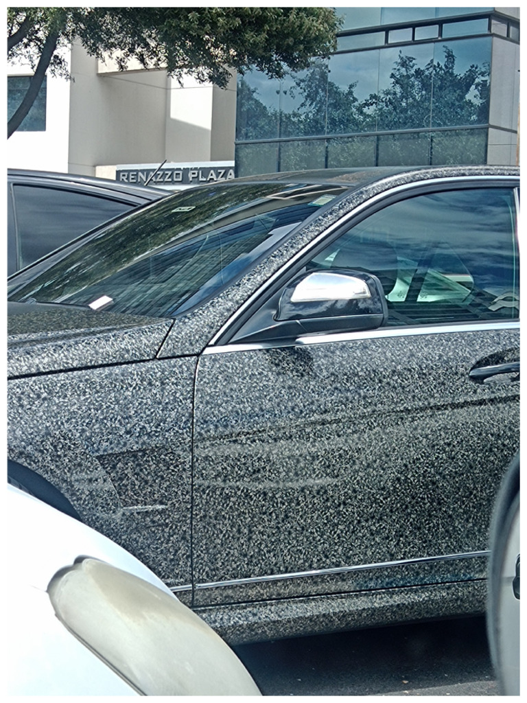 Auto Craquelado | PDF