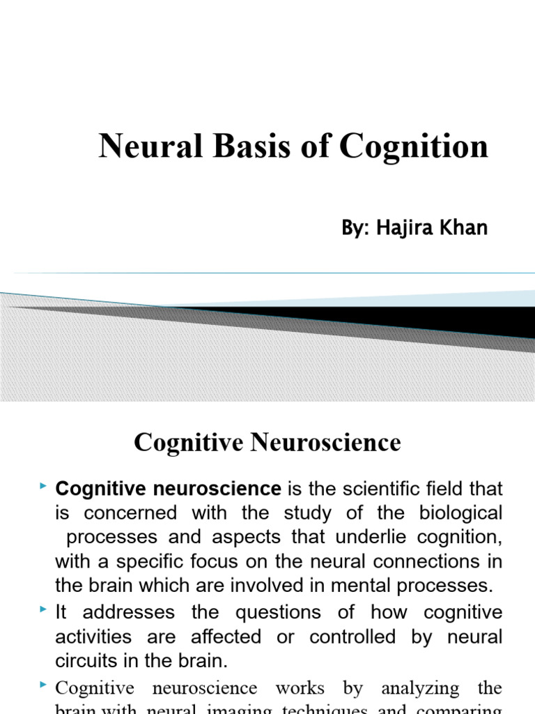 Neural Basis of Cognition | Download Free PDF | Neuron | Axon