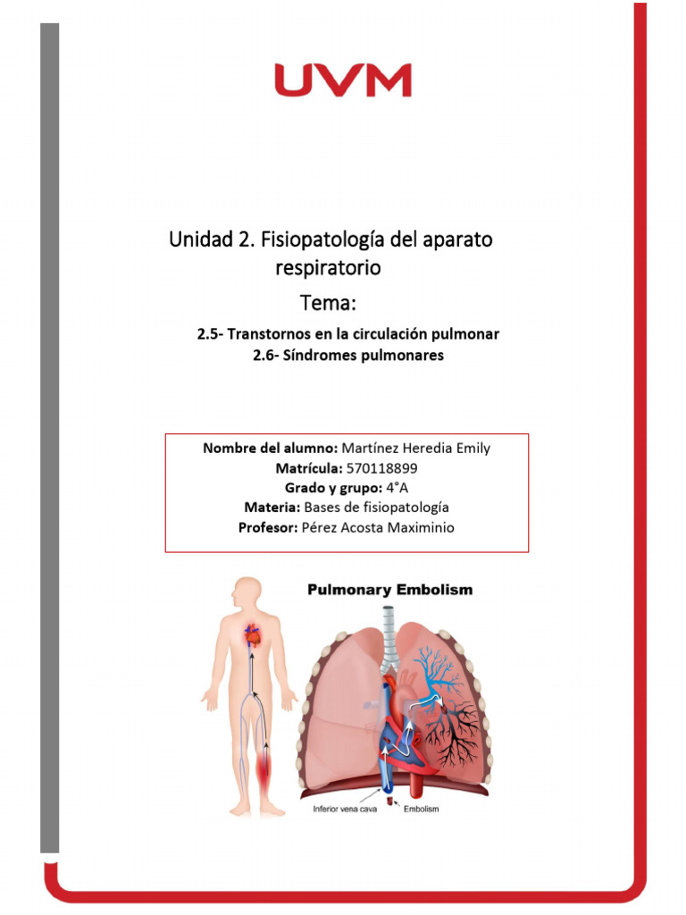 Trastornos y síndromes pulmonares | PDF | Sistema circulatorio | Pulmón