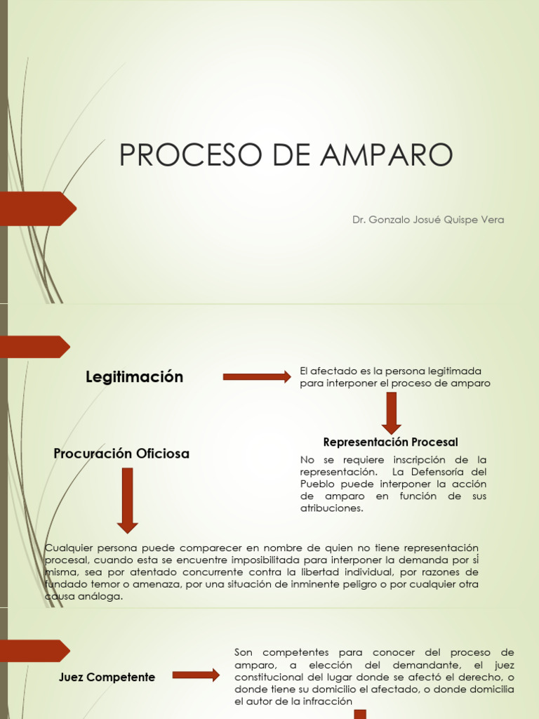 Proceso de Amparo-1 | PDF | Demanda judicial | Ley procesal