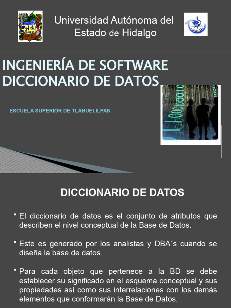 Diccionario de Datos | Descargar gratis PDF | Bases de datos | aerolíneas