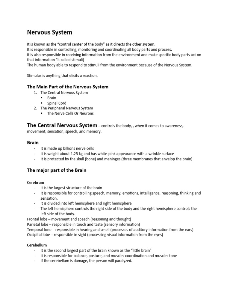 Nervous System (2) | PDF | Central Nervous System | Nervous System